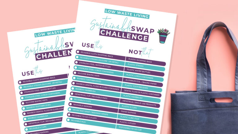 Sustainable Swaps + A Free Printable Checklist | MomsWhoSave.com