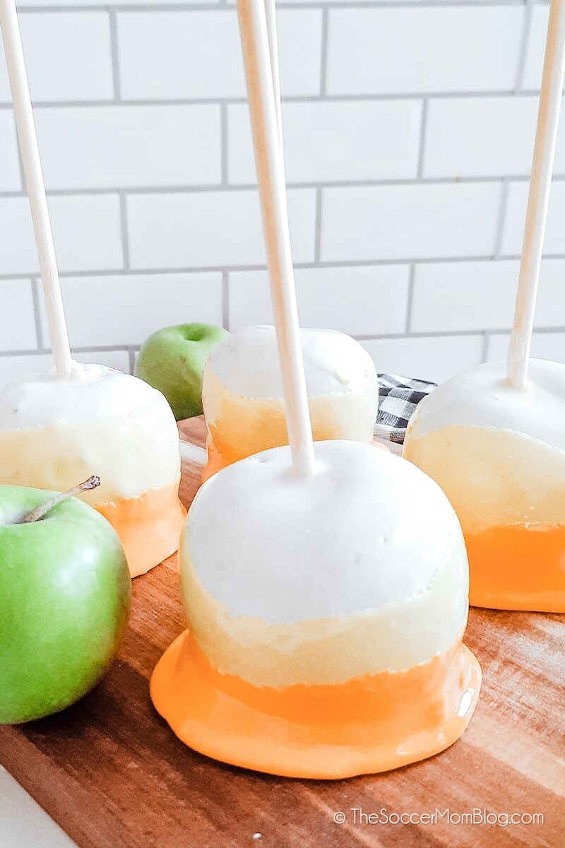 15 Decadent Dipped Apple Recipes | MomsWhoSave.com