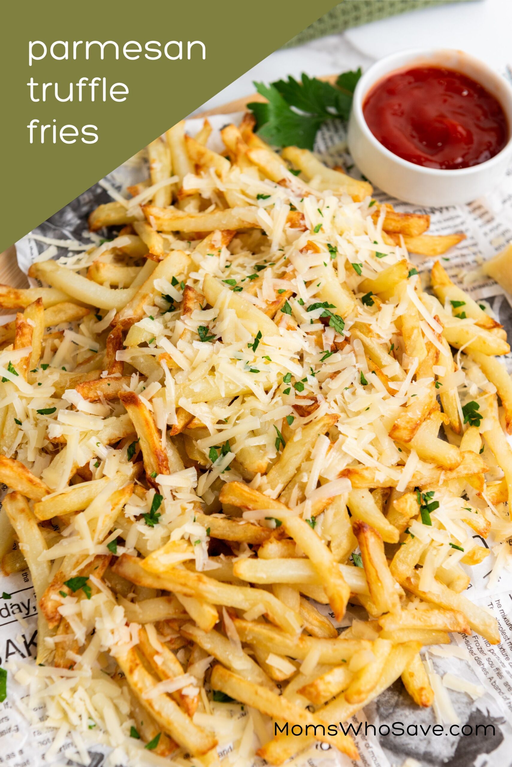 Restaurant-Style Air Fryer Parmesan Truffle Fries Recipe | MomsWhoSave.com